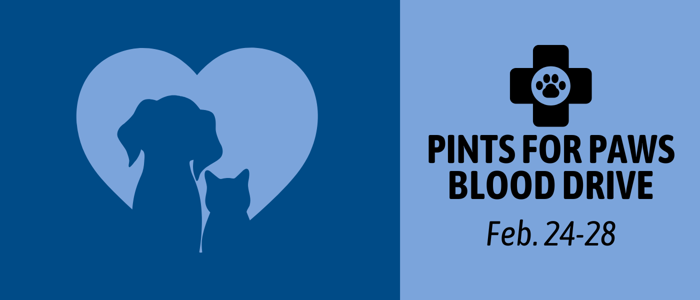 Pints for Paws drive – Feb. 2025 – The Bridge Home No Kill Animal Rescue